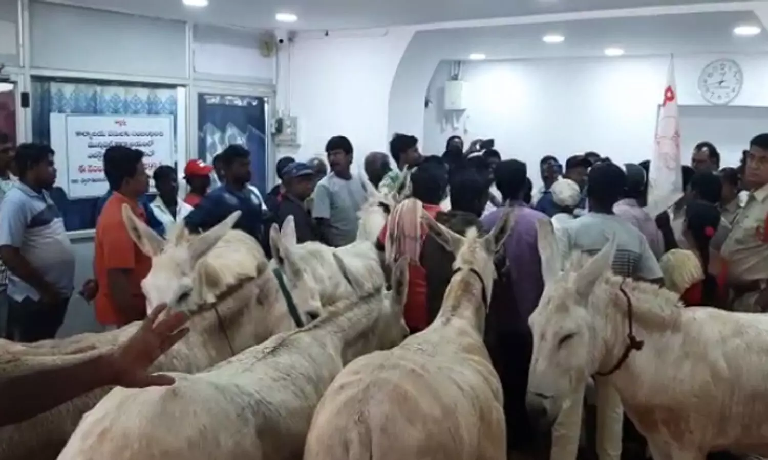 గాడిదలతో విన్నూత్న నిరసన | rajakas staged a protest with donkeys at the ...