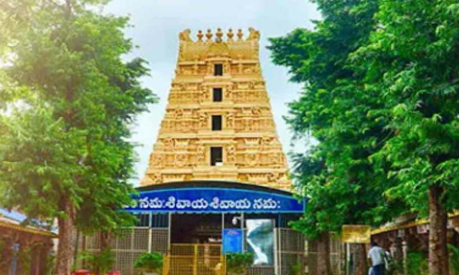 Srisailam : సంక్రాతికి శ్రీశైలం వెళుతున్నారా? అయితే సేవలివే | according ...