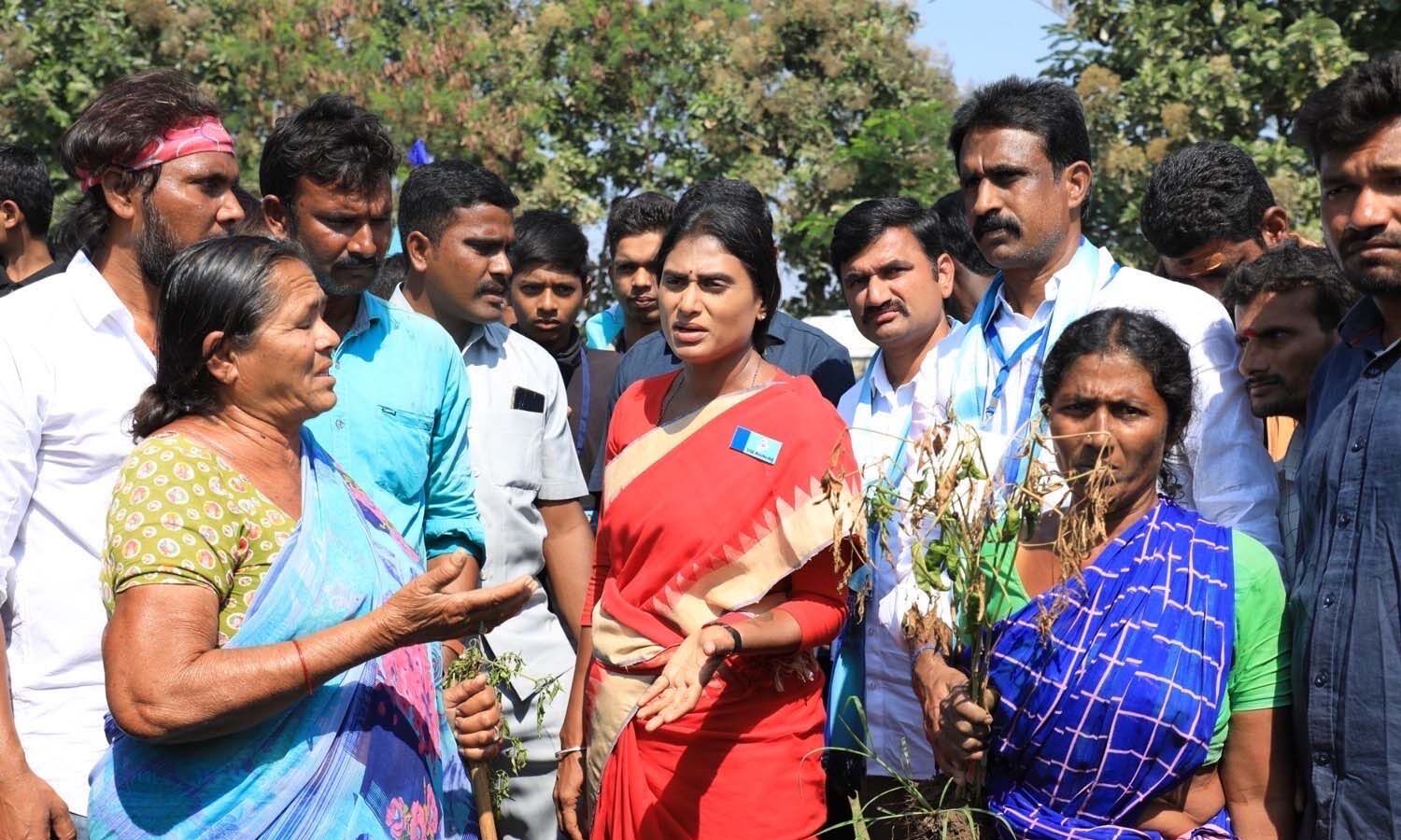 నేడు వరంగల్ కు షర్మిల పాదయాత్ర | ysr telangana party chief ys sharmila will visit warangal today ...
