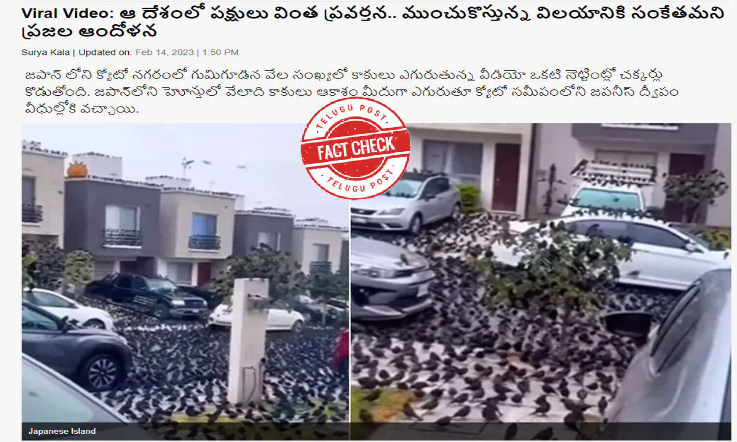 Fact Check: Viral video of crows invading a street is not from Kyoto ...