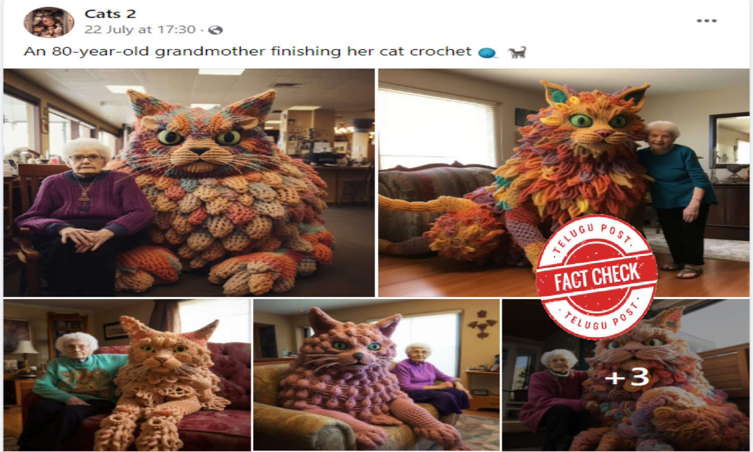 Fact Check: Viral images of 80-yr-old woman with crochet cats is AI ...