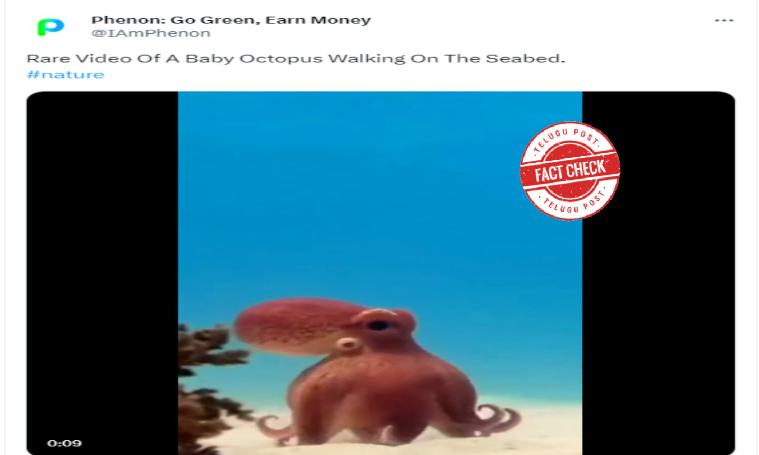 Fact Check: Video of an octopus-like creature walking, not crawling, on ...