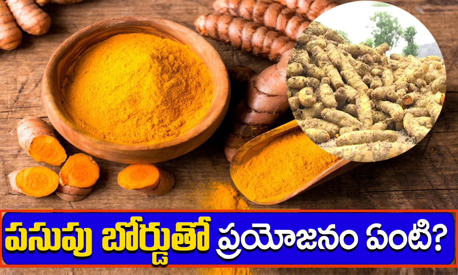 తెలంగాణకు వచ్చిన జాతీయ పసుపు బోర్డు వల్ల ప్రయోజనం ఏంటి? | Centre ...