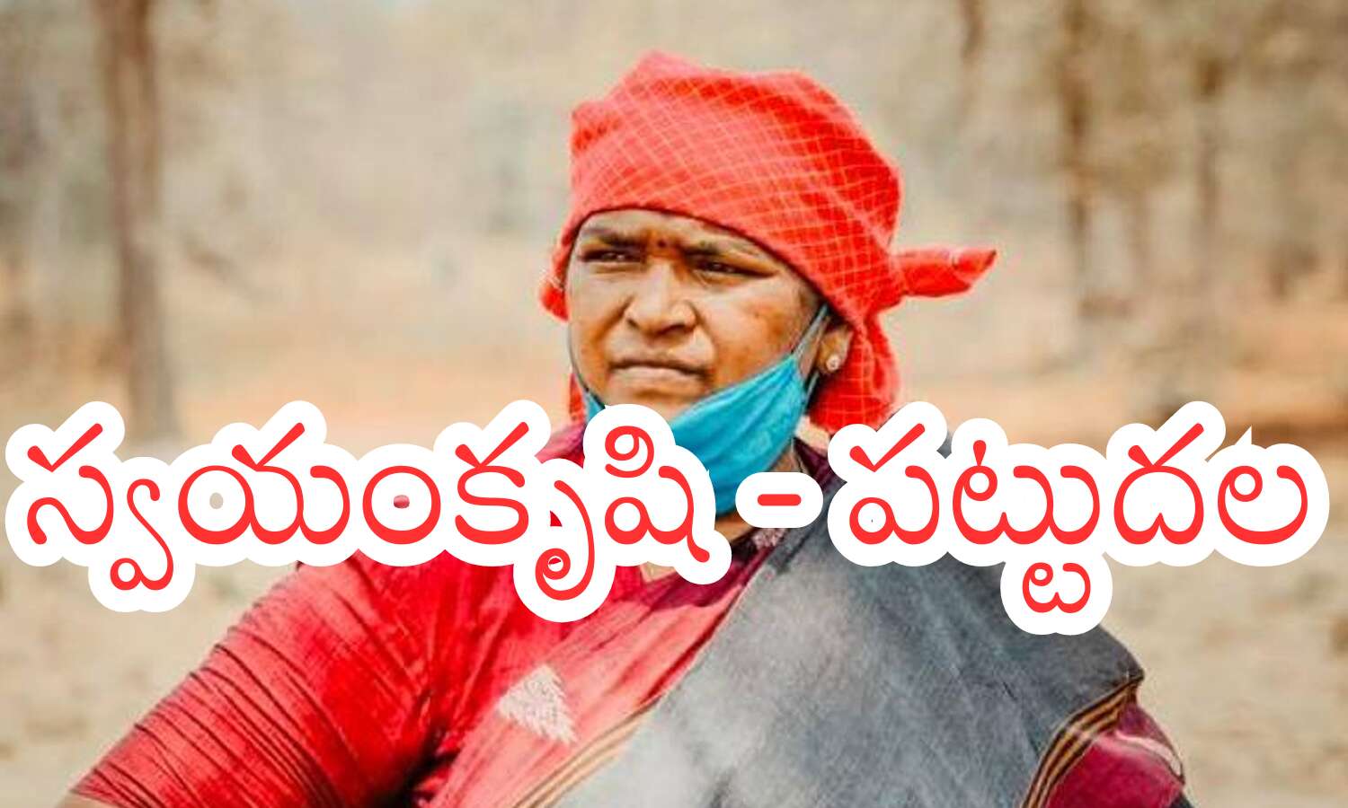 Seethakka : మావోయిస్టు నుంచి మంత్రి వరకూ.. ఎవరూ సాధించలేరుగా అక్కా ...
