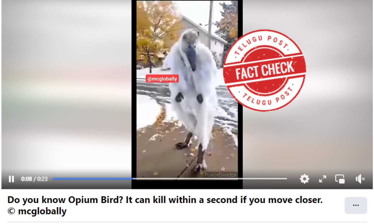 Fact Check: Viral video claiming to show opium bird which can kill ...