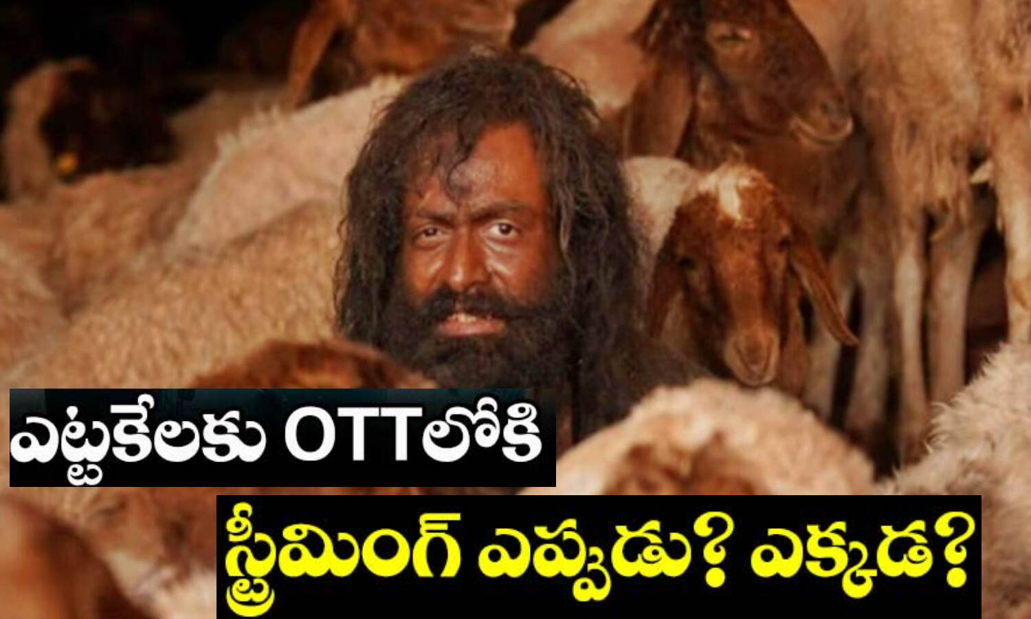 The Goat Life OTT: హమ్మయ్య ఆ సినిమా ఓటీటీ రిలీజ్ కన్ఫర్మ్ అయింది ...