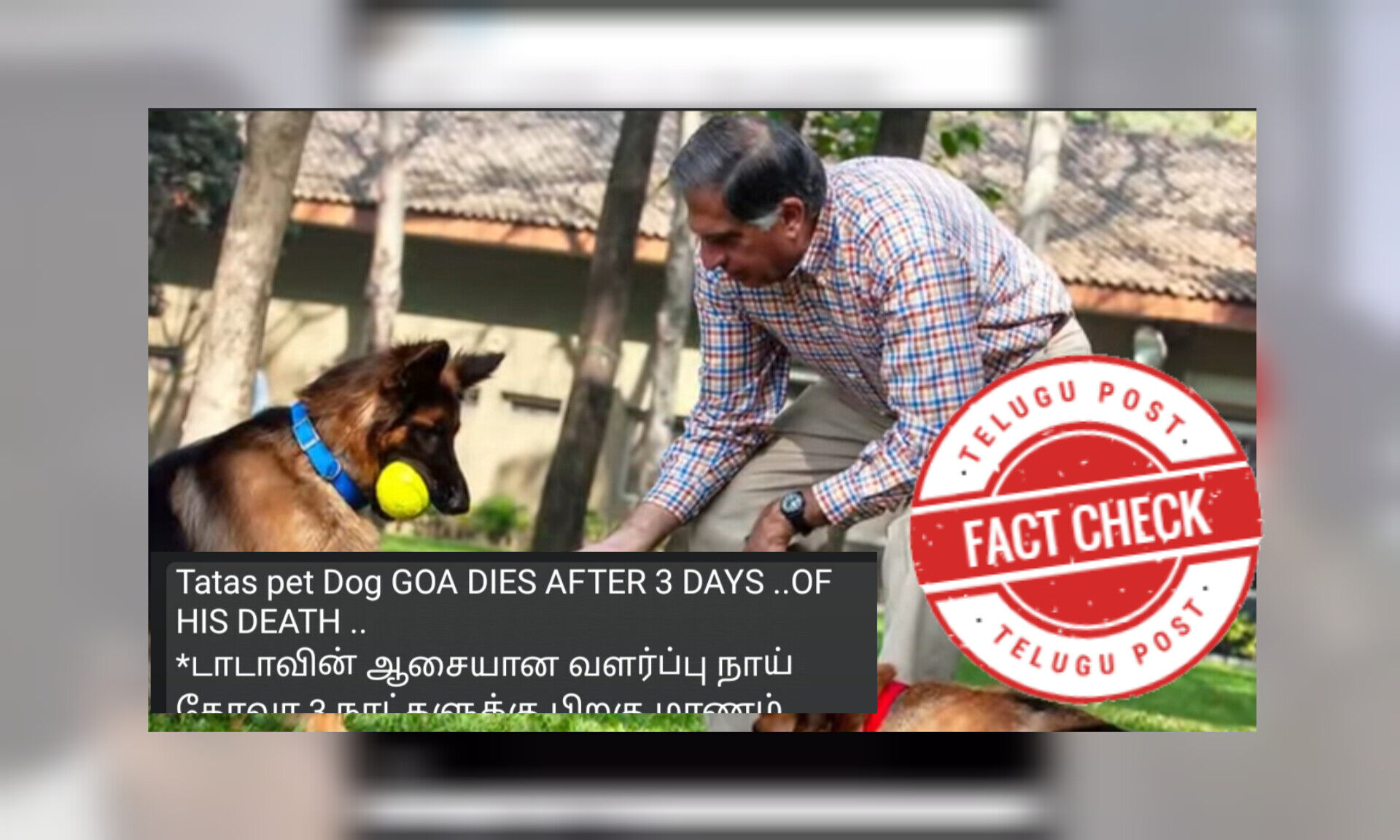 Fact Check: ରତନ ଟାଟାଙ୍କ ପୋଷା କୁକୁର ଗୋଆର ମୃତ୍ୟୁ ଖବର ହେଉଛି ଗୁଜବ, ଜୀବିତ ...