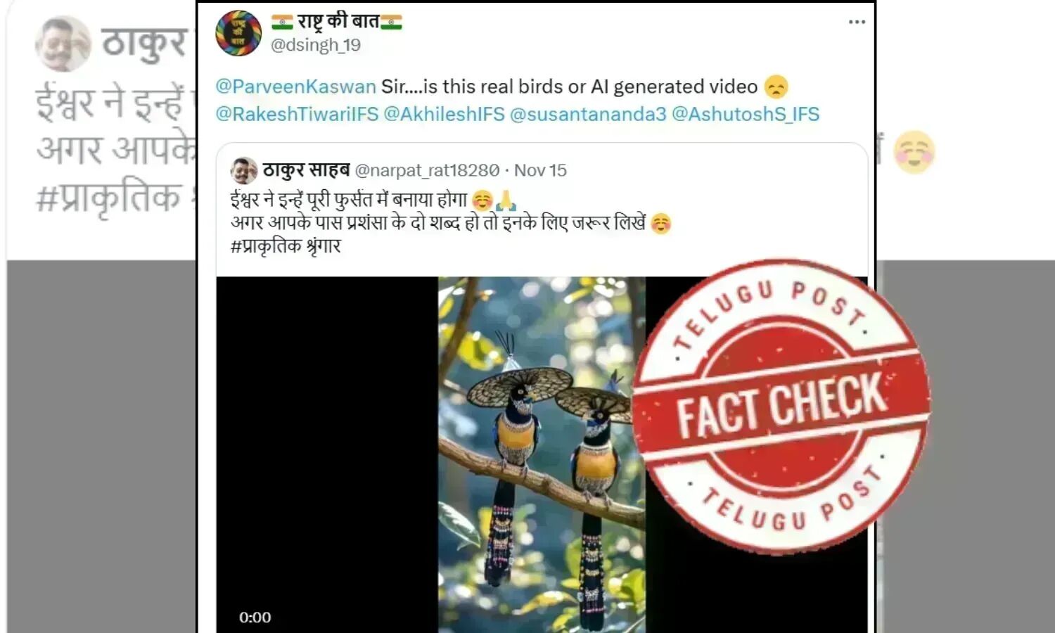 Fact Check: Viral video showing a couple of rare, unusual birds is AI ...