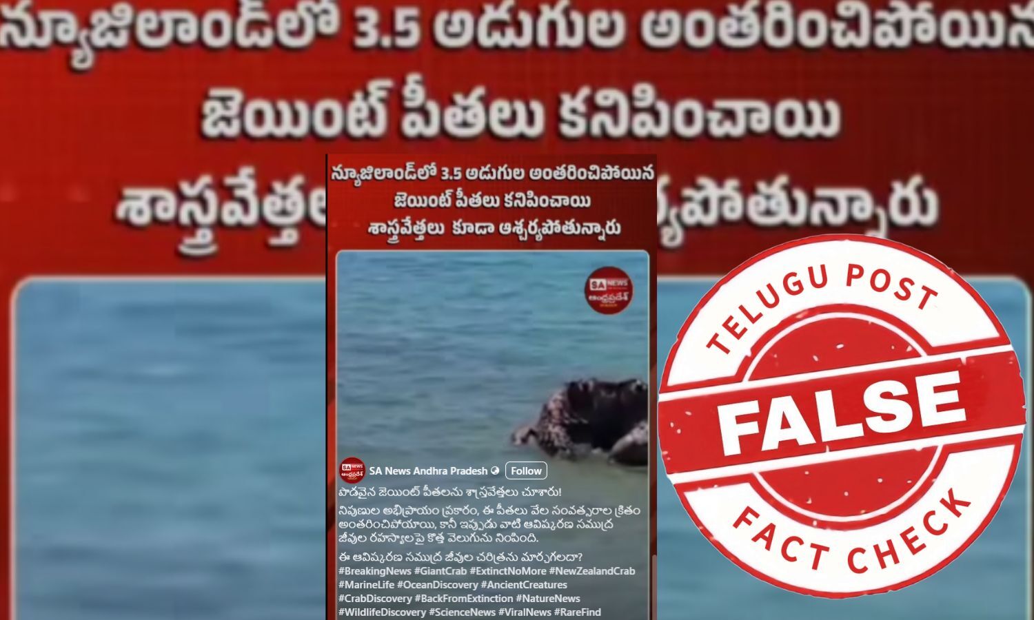 ఫ్యాక్ట్ చెక్: భారీ ఆకారంలోని పీతలు సముద్రంలో నుండి బయటకు వచ్చాయంటూ ...